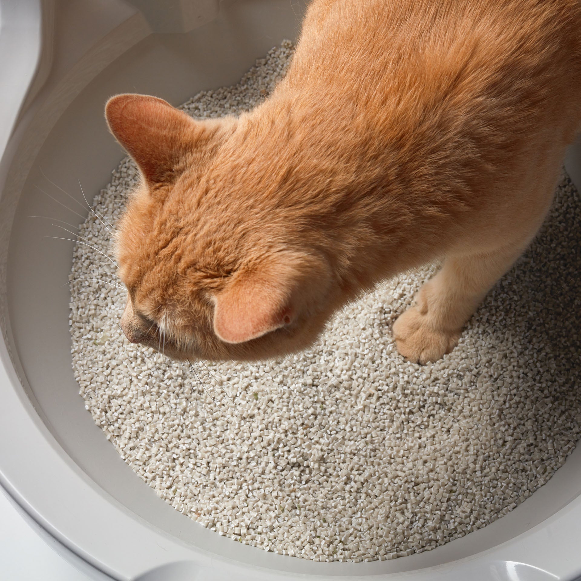 Washable Granules – CatGenie